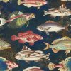NAUTILUS SEAPORTΕ ΕΞΑΝΤΛΗΘΗΚΕ – Συλλογή 14